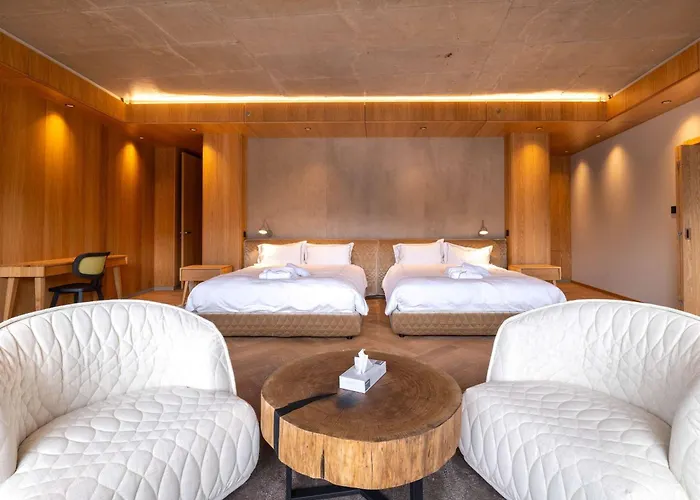 HOTEL SWISSOTEL DAMIAN JASNA, DEMANOVSKA DOLINA